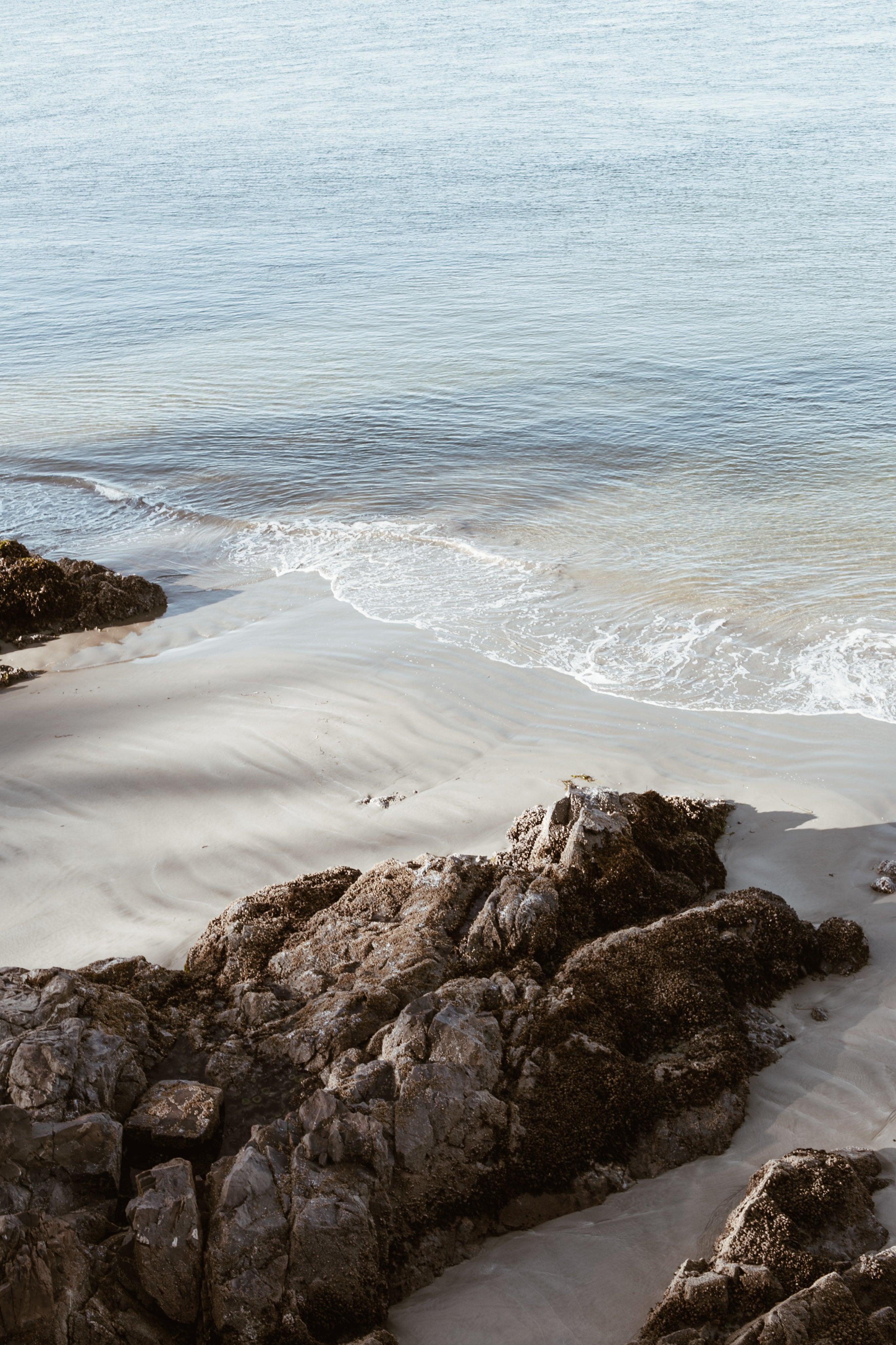 Essentials from Shoreline Body & co. – Merge