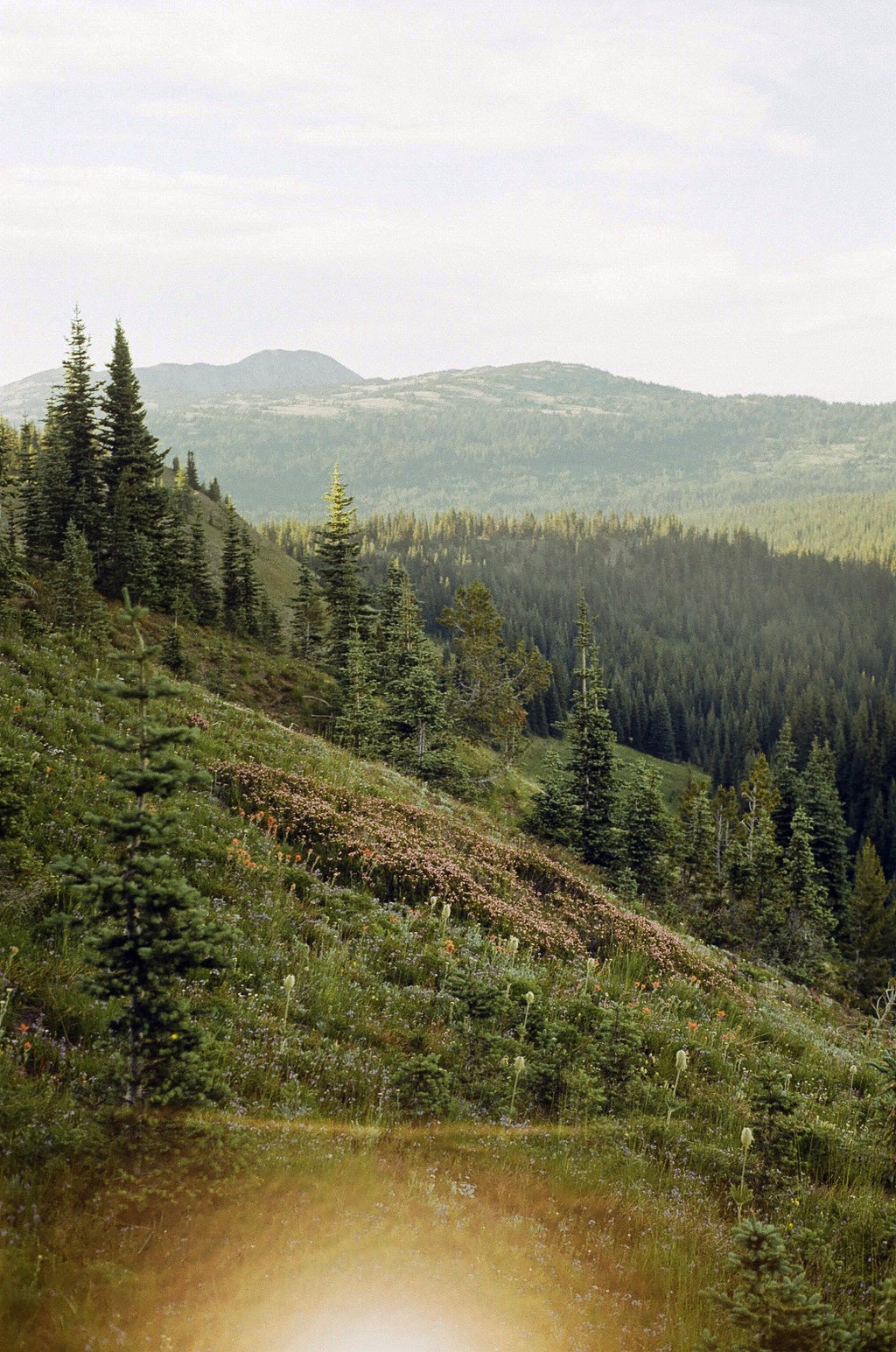 Noticing our interconnection with nature – Merge